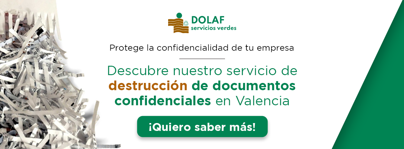 Reciclaje de papel en la empresa: Cómo contribuir al cuidado del medio ...